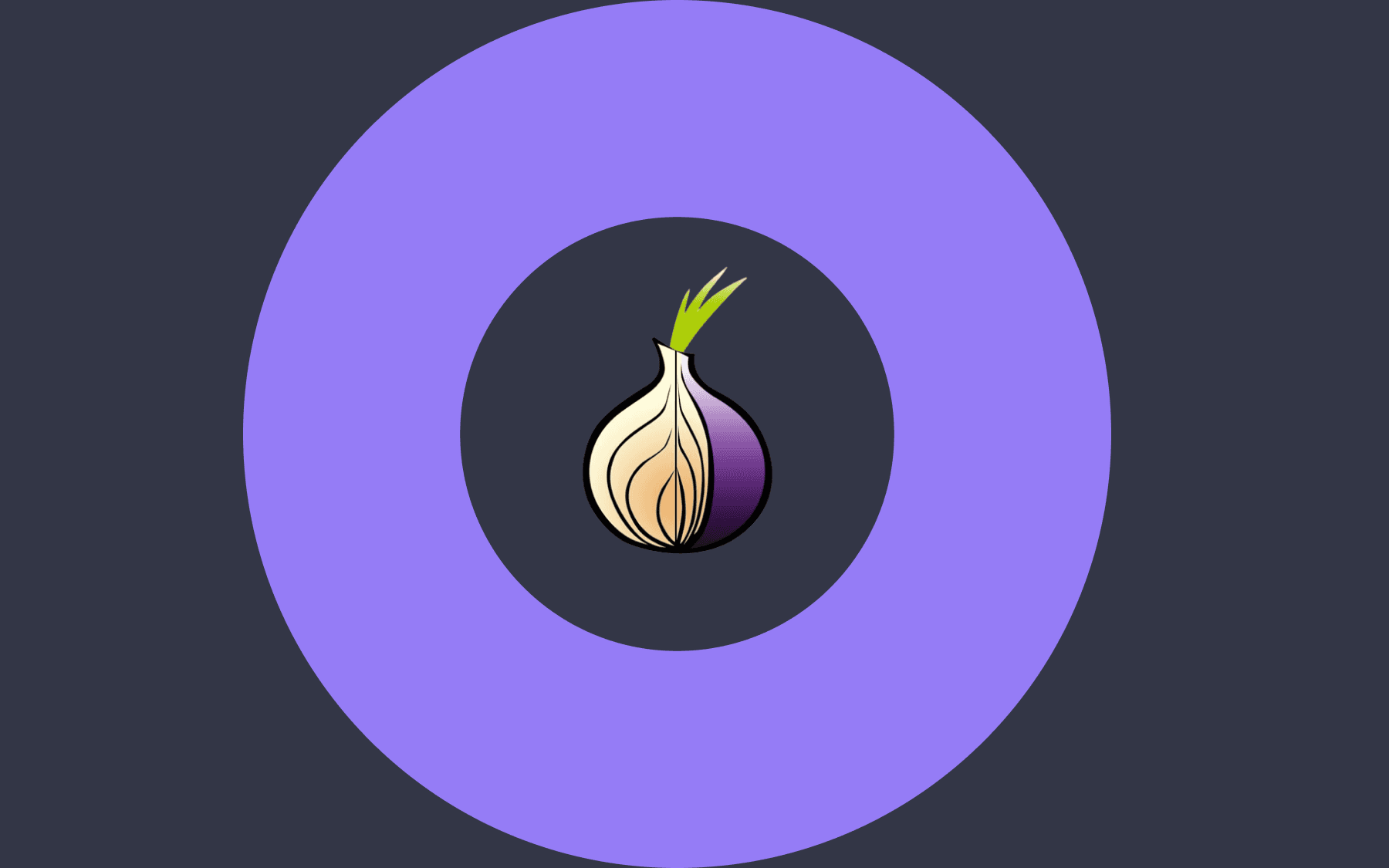 Tips for running an onion - Labs Detectify